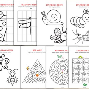 Insects Activity Book,insect Bundle,insect Unit Study,bugs Activity ...