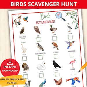 Birds Scavenger Hunt,nature Scavenger Hunt,nature Activity,bird ...