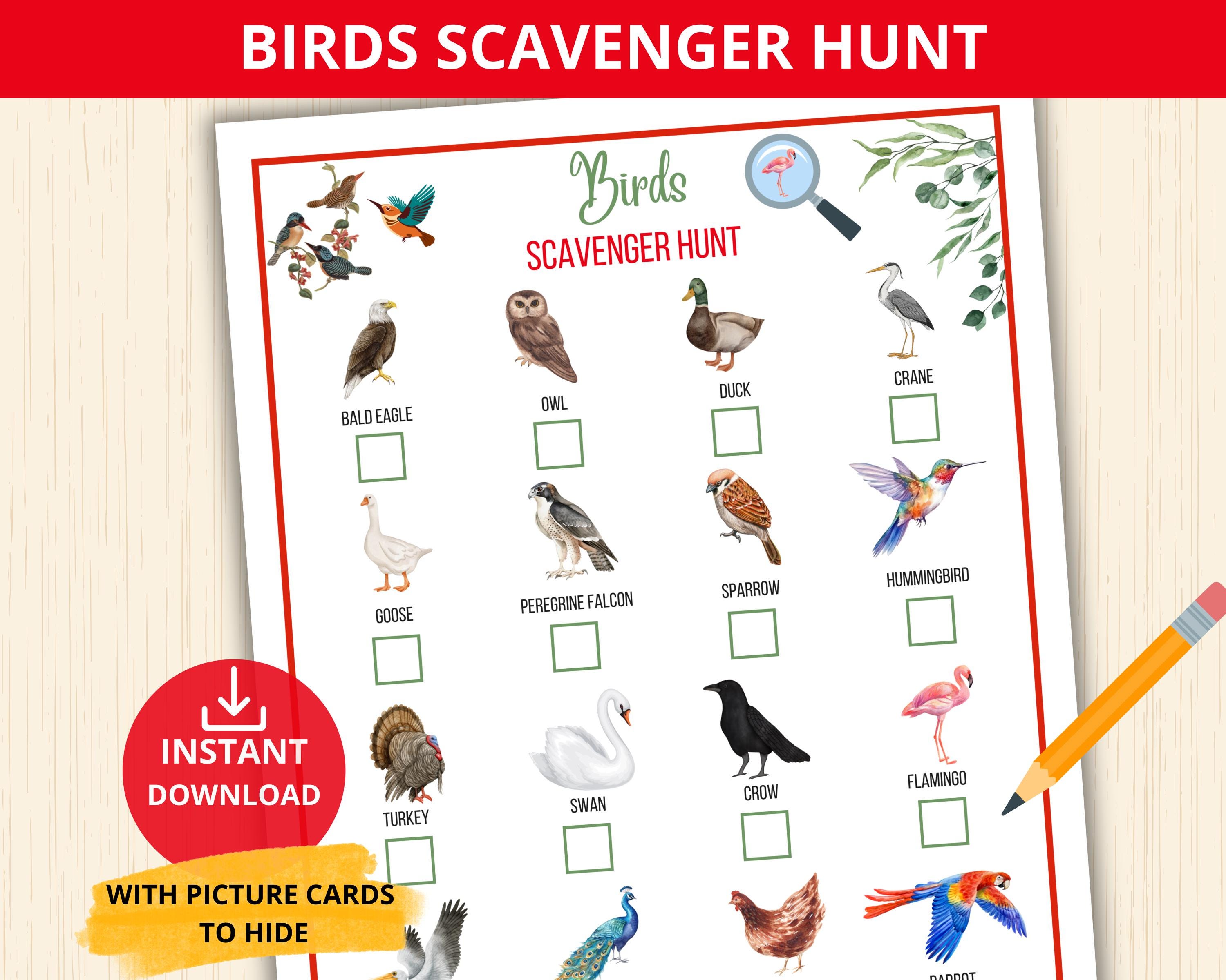 Birds Scavenger Hunt,nature Scavenger Hunt,nature Activity,bird ...