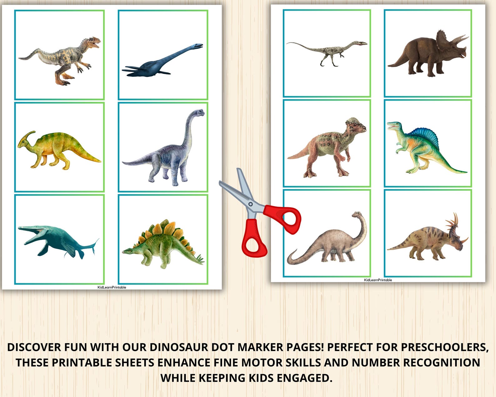 Fossil Identification Card,dinosaur Fossil,prehistoric Fossils,fossil ...