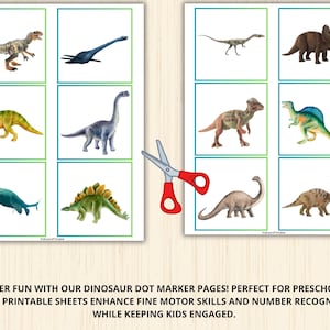 Fossil Identification Card,dinosaur Fossil,prehistoric Fossils,fossil ...