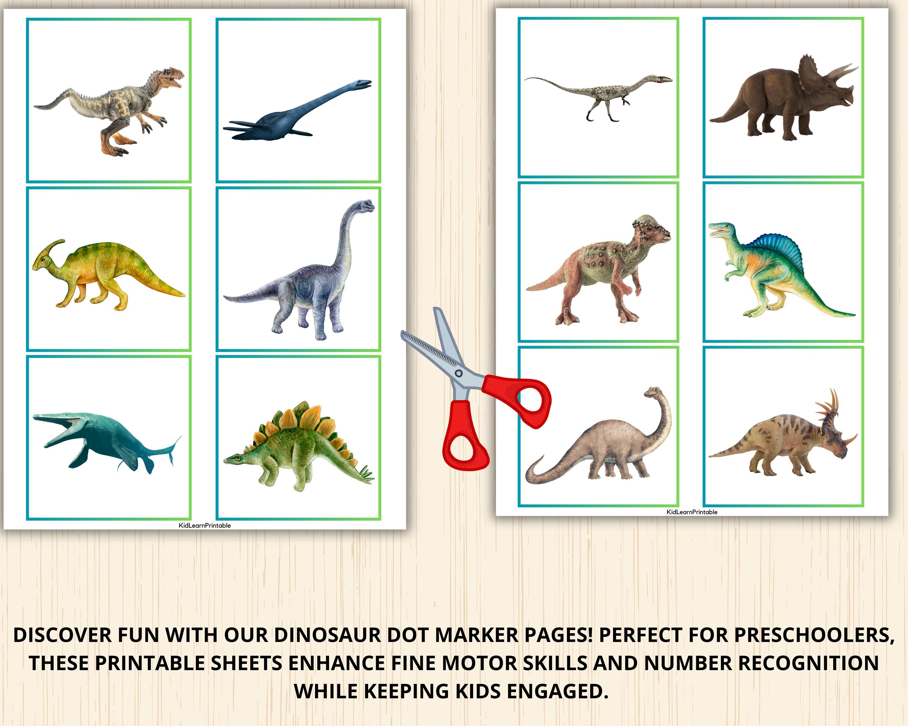 Fossil Identification Card,dinosaur Fossil,prehistoric Fossils,fossil ...