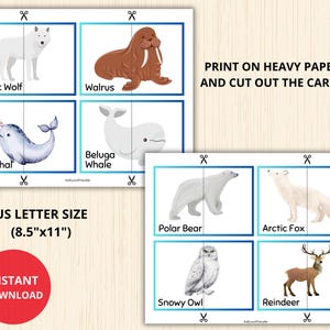 Arctic Animal Matching,arctic Animal Puzzle,winter Animal Montessori ...