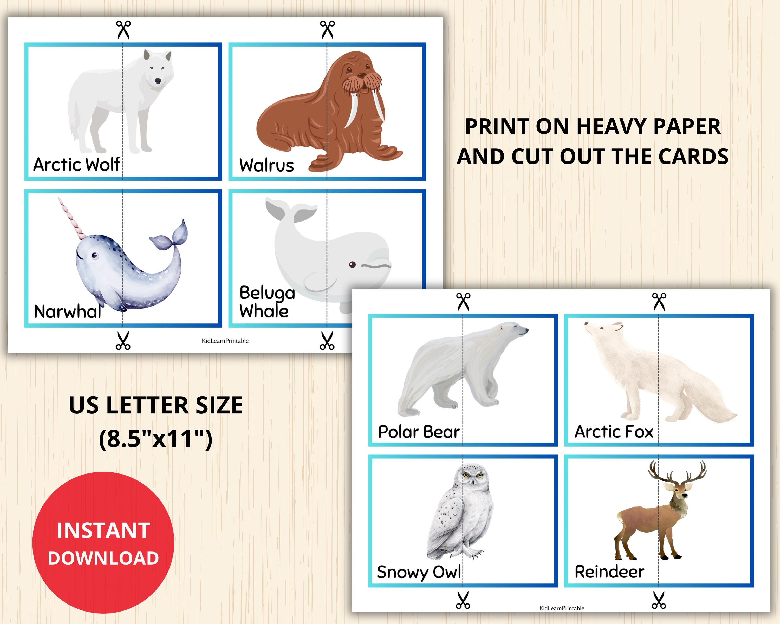 Arctic Animal Matching,arctic Animal Puzzle,winter Animal Montessori ...
