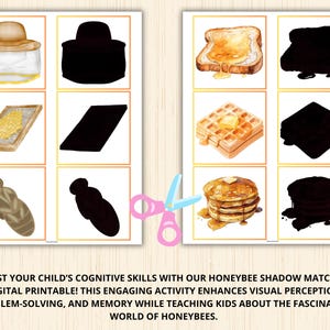 Honeybee Shadow Matching Cards,bee Flashcards,nature Flashcards,bee ...
