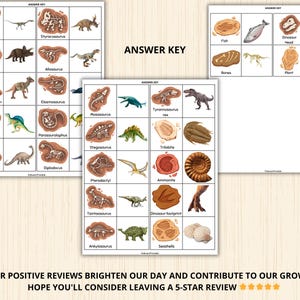 Fossil Identification Card,dinosaur Fossil,prehistoric Fossils,fossil ...