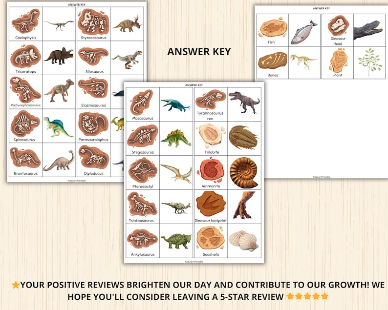 Fossil Identification Card,dinosaur Fossil,prehistoric Fossils,fossil ...