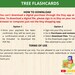 Tree Flashcards,tree Montessori Preschool,tree Unit Study,forest ...