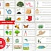 Garden Bundle,garden Unit Study,spring Preschool,homeschool Learning ...
