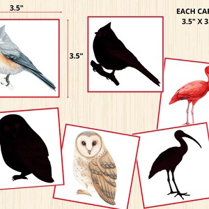 Bird Shadow Matching Cards,birds Shadow Cards,birds Match Picture,birds ...
