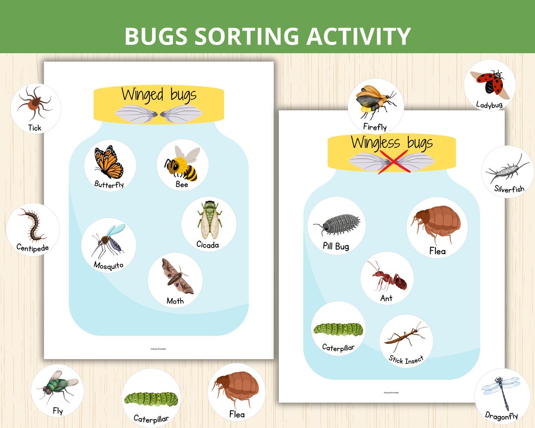 Bugs Sorting Activity,insect Sorting Game,preschool Insect,bug Unit ...