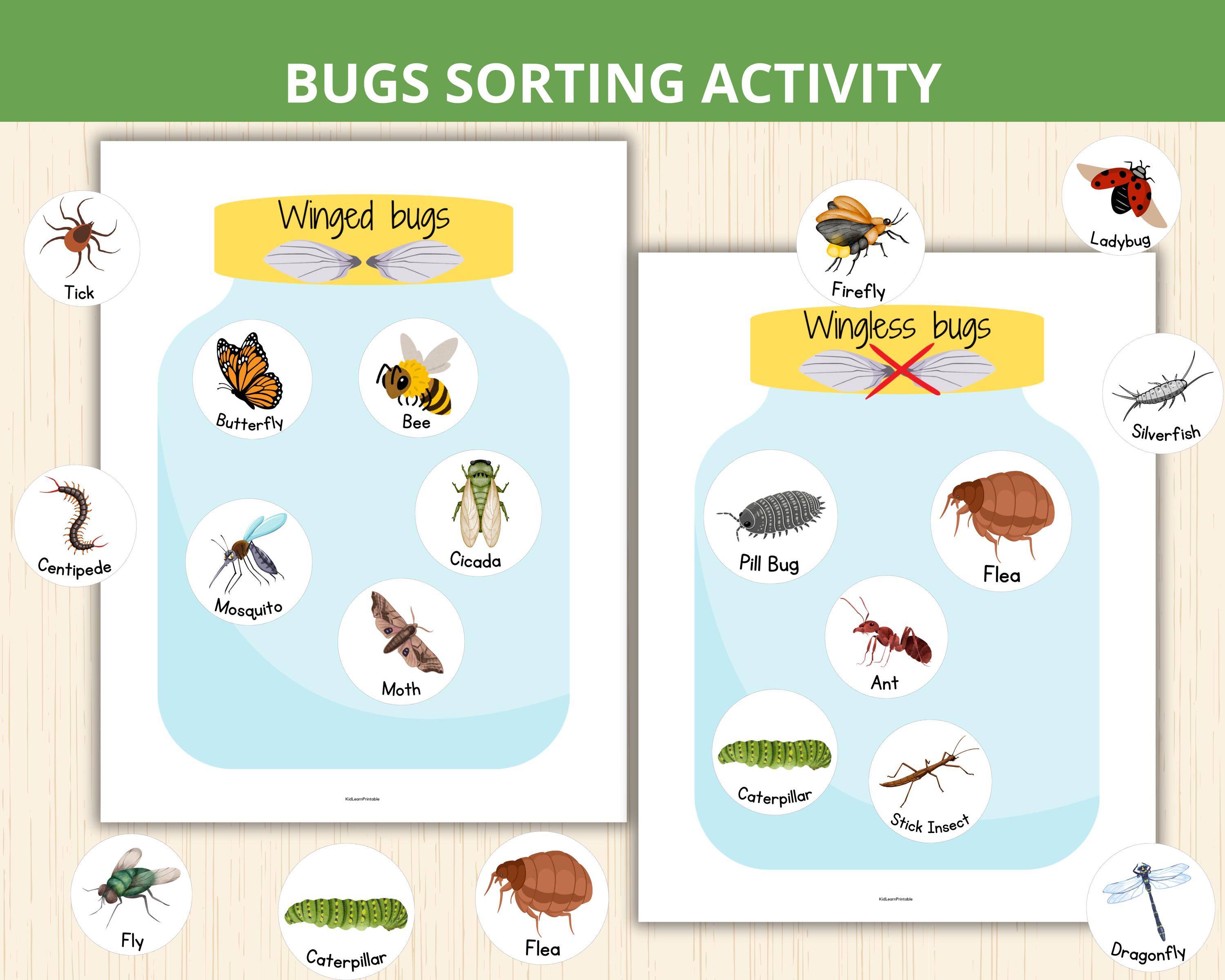 Bugs Sorting Activity,insect Sorting Game,preschool Insect,bug Unit ...