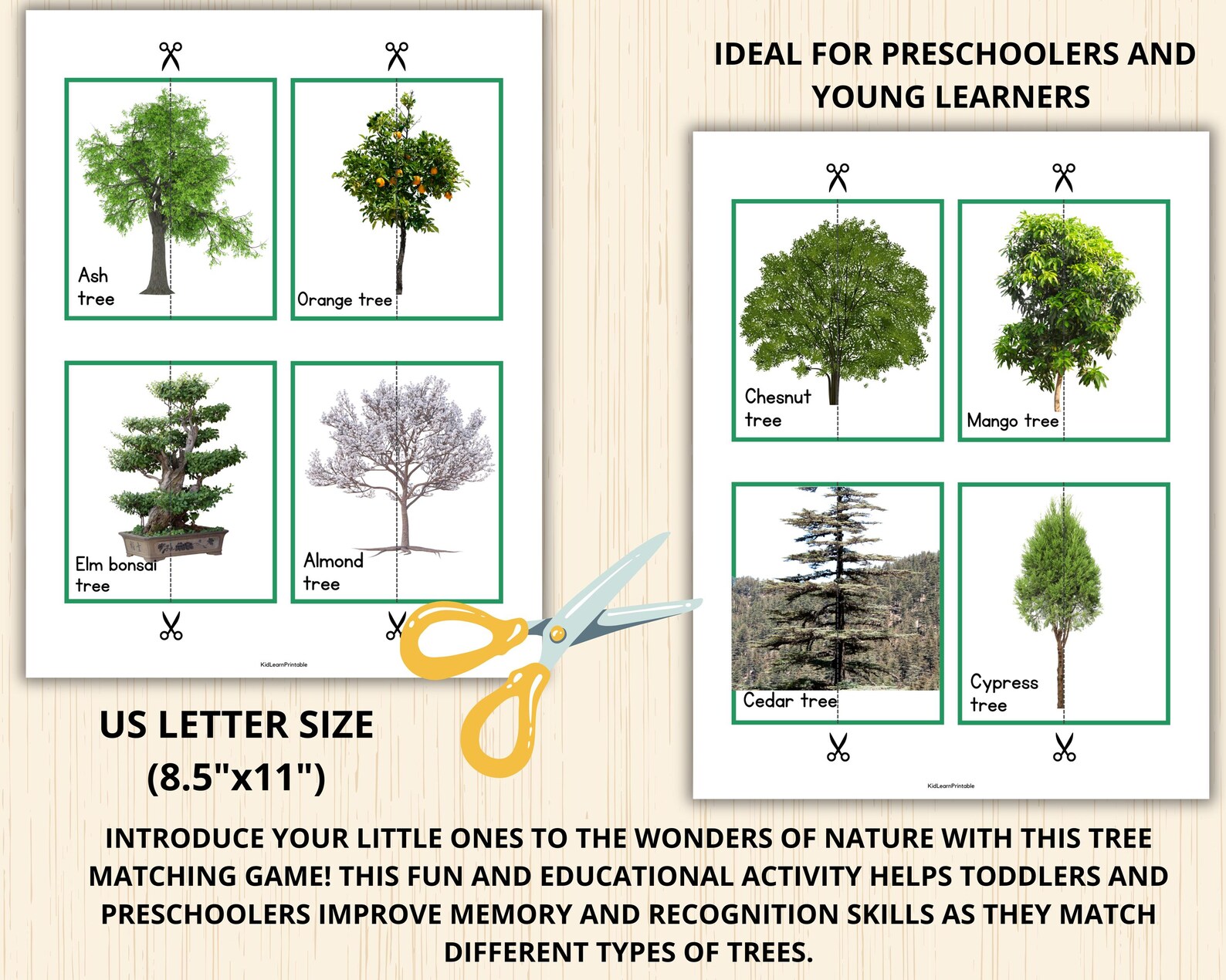 Tree Flashcards,tree Matching Cards,tree Real Pictures,tree Montessori ...