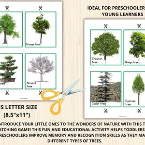 Tree Flashcards,tree Matching Cards,tree Real Pictures,tree Montessori ...