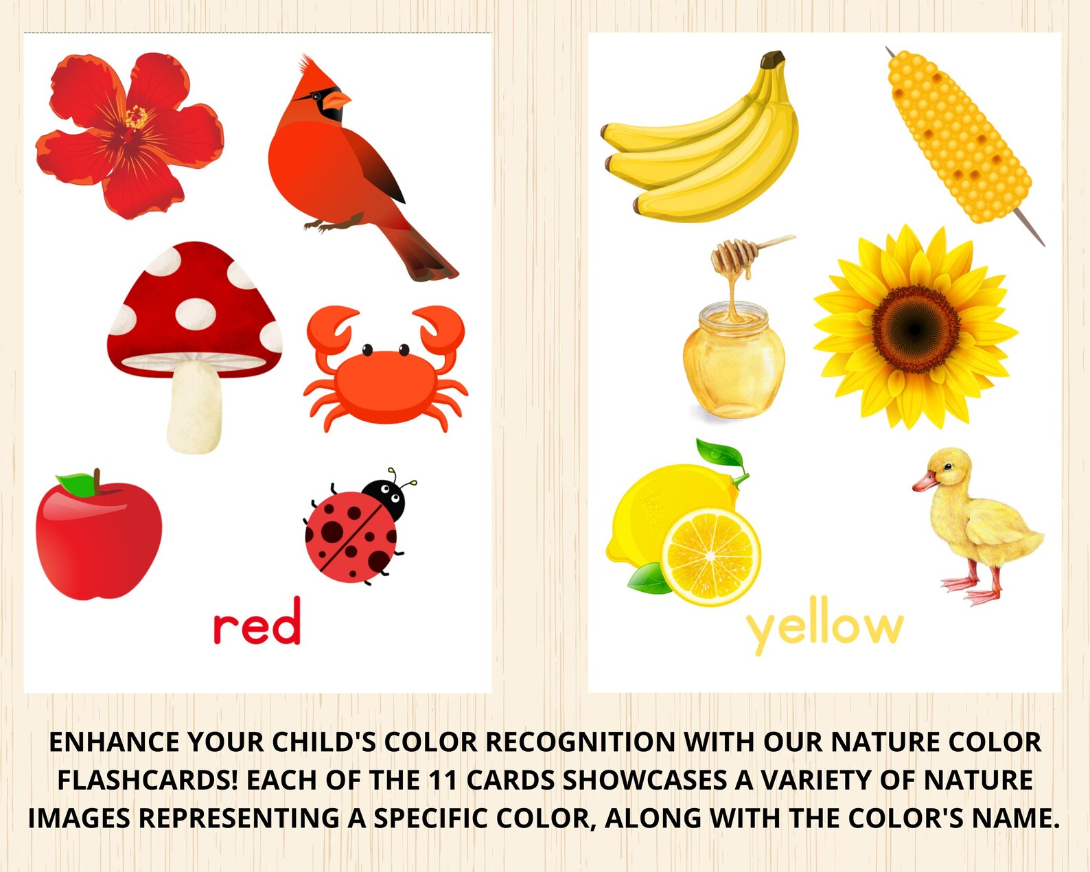 Colors in Nature Flashcards,nature Color Flashcards,montessori Colors ...