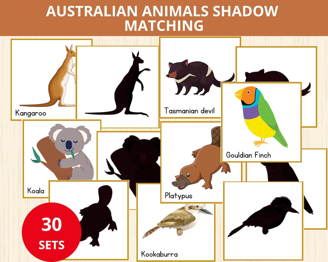 Australian Animals Shadow Matching Cards,australia Animal Flashcard ...