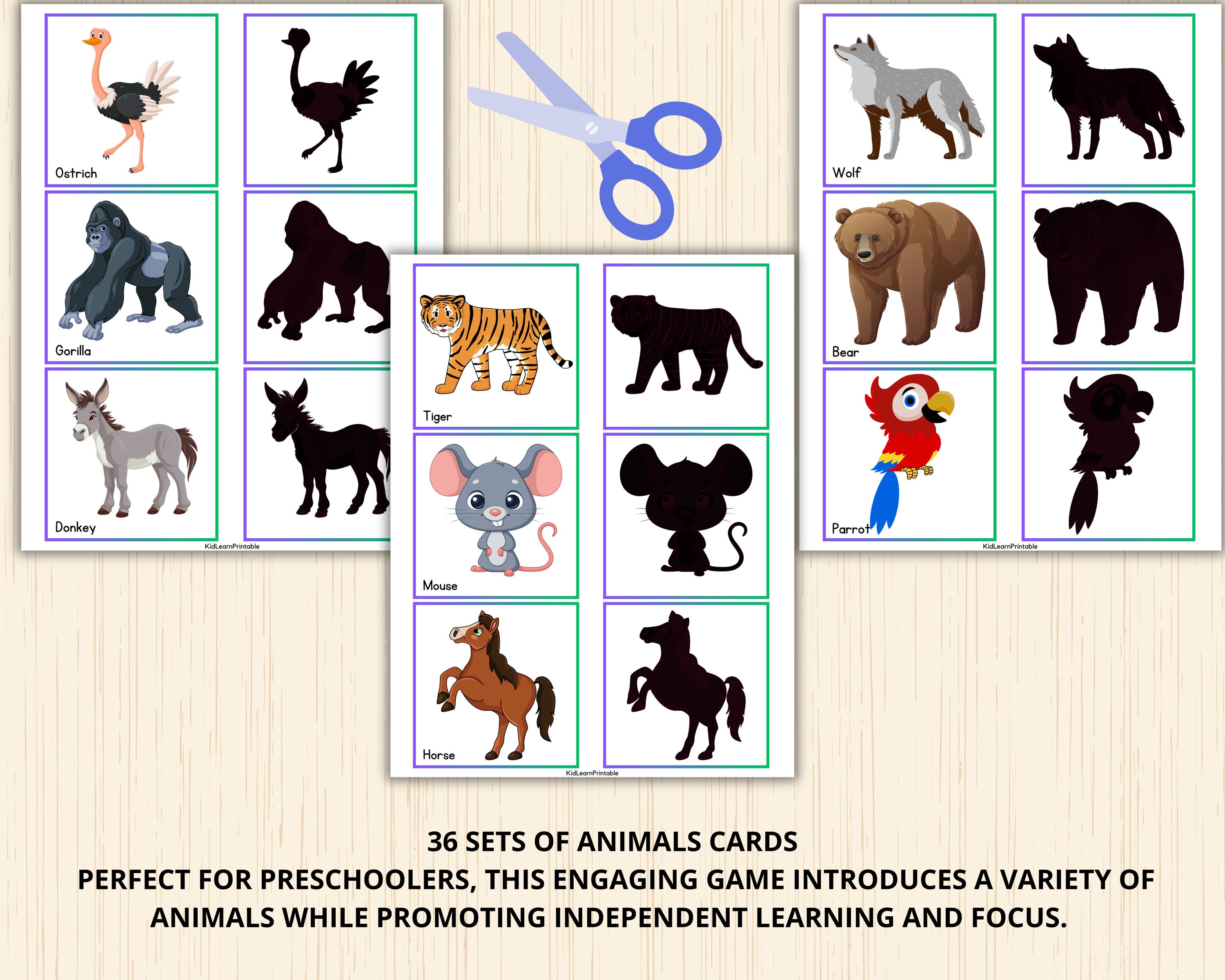 Animal Shadow Matching ,animal Puzzles,montessori Animal Shadow Match ...