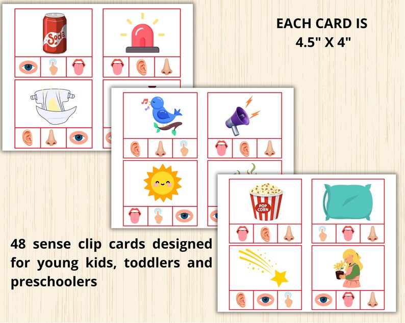 5 Senses Clip Cards, Five Senses Sorting Activity Game, Sort and Match ...