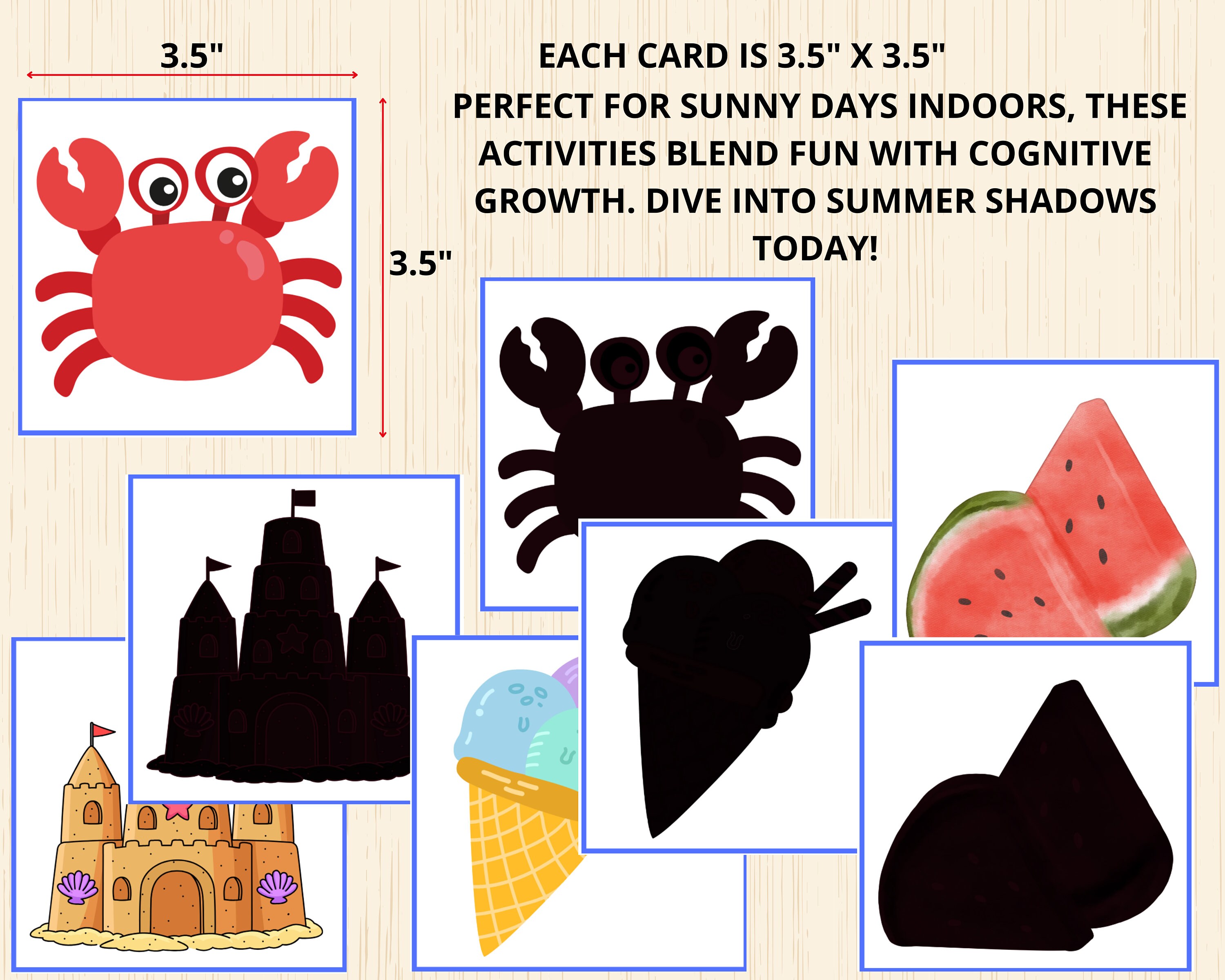 Summer Shadow Matching Cards,summer Flashcards,summer Activity ...