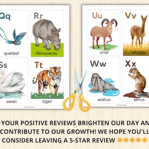 Zoo Animal Alphabet Cards,animals Flashcards,animals Montessori,safari ...