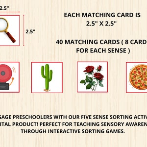 Five Senses Sorting Activity, 5 Sense Activities,5 Senses ...