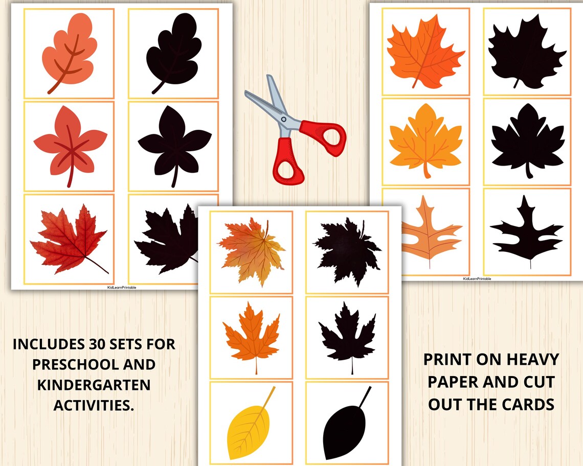 Fall Matching Activities, Autumn Leaves Shadow Matching Game,fall ...