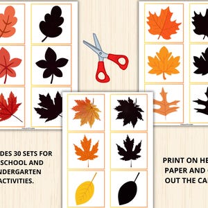 Fall Matching Activities, Autumn Leaves Shadow Matching Game,fall ...