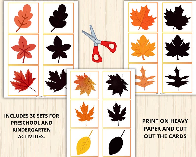 Fall Matching Activities, Autumn Leaves Shadow Matching Game,fall ...