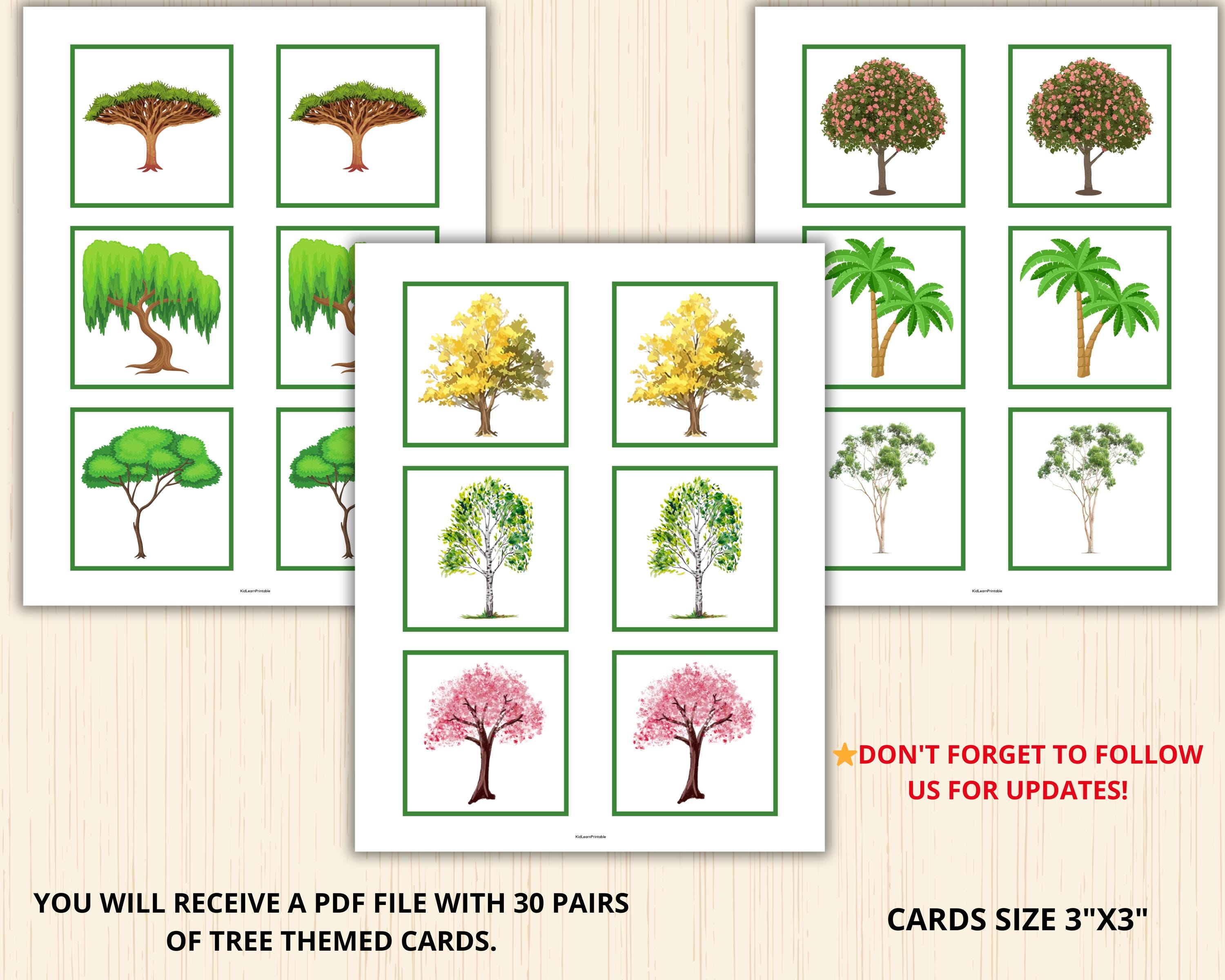 Tree Memory Game,tree Matching Game,tree Unit Study,nature Memory Game ...