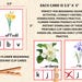 Flowers Beginning Sound,nature Letter Sound,flower Vocabulary,flower ...