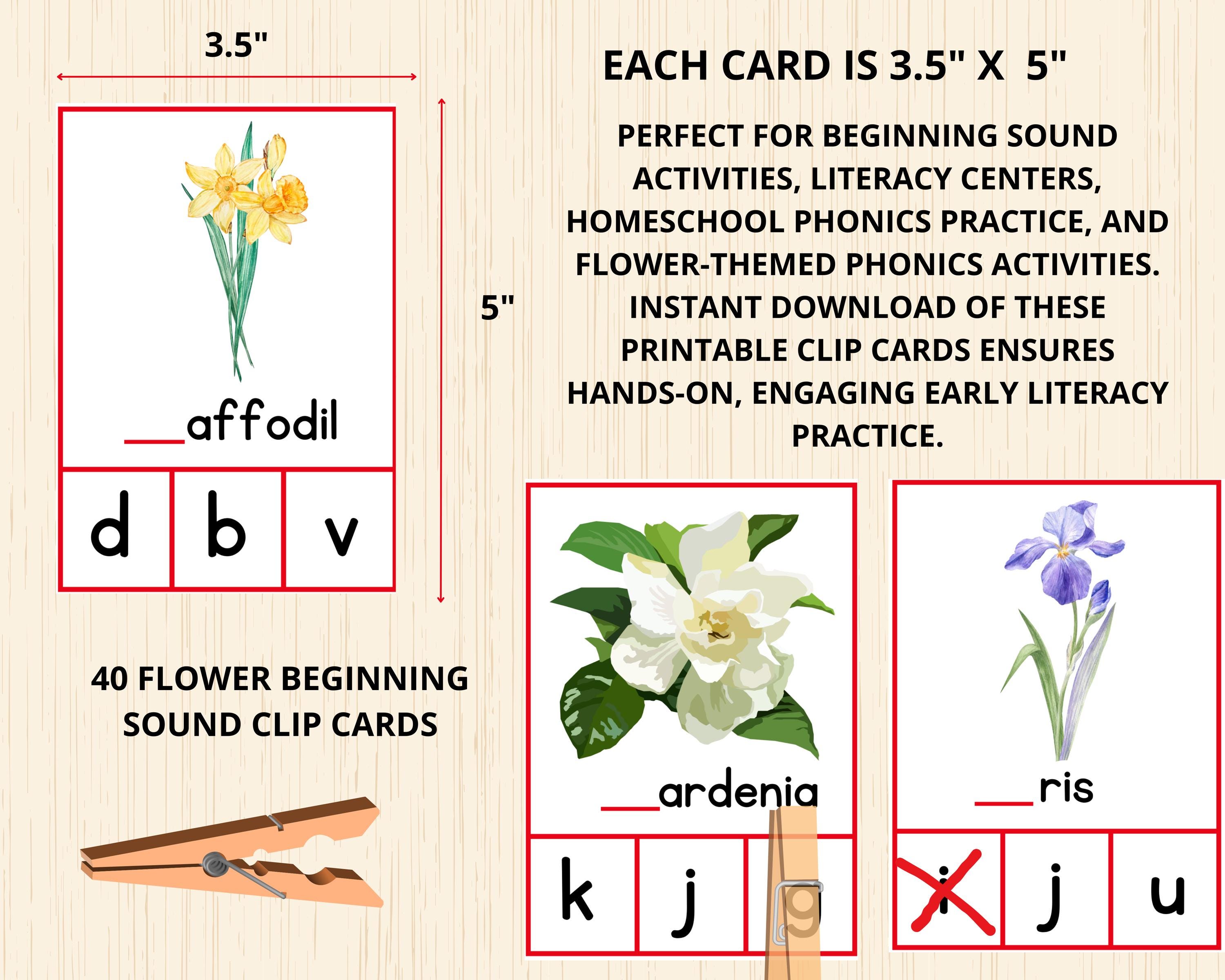 Flowers Beginning Sound,nature Letter Sound,flower Vocabulary,flower ...