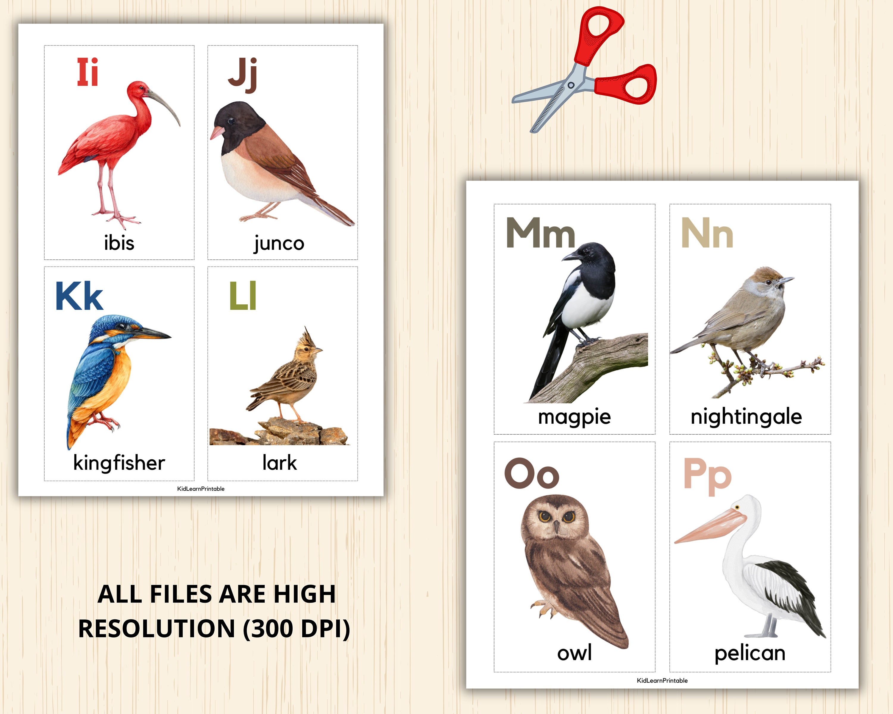 Birds Flashcards, Birds Alphabet Cards, Alphabet Flash Cards, Birds ...