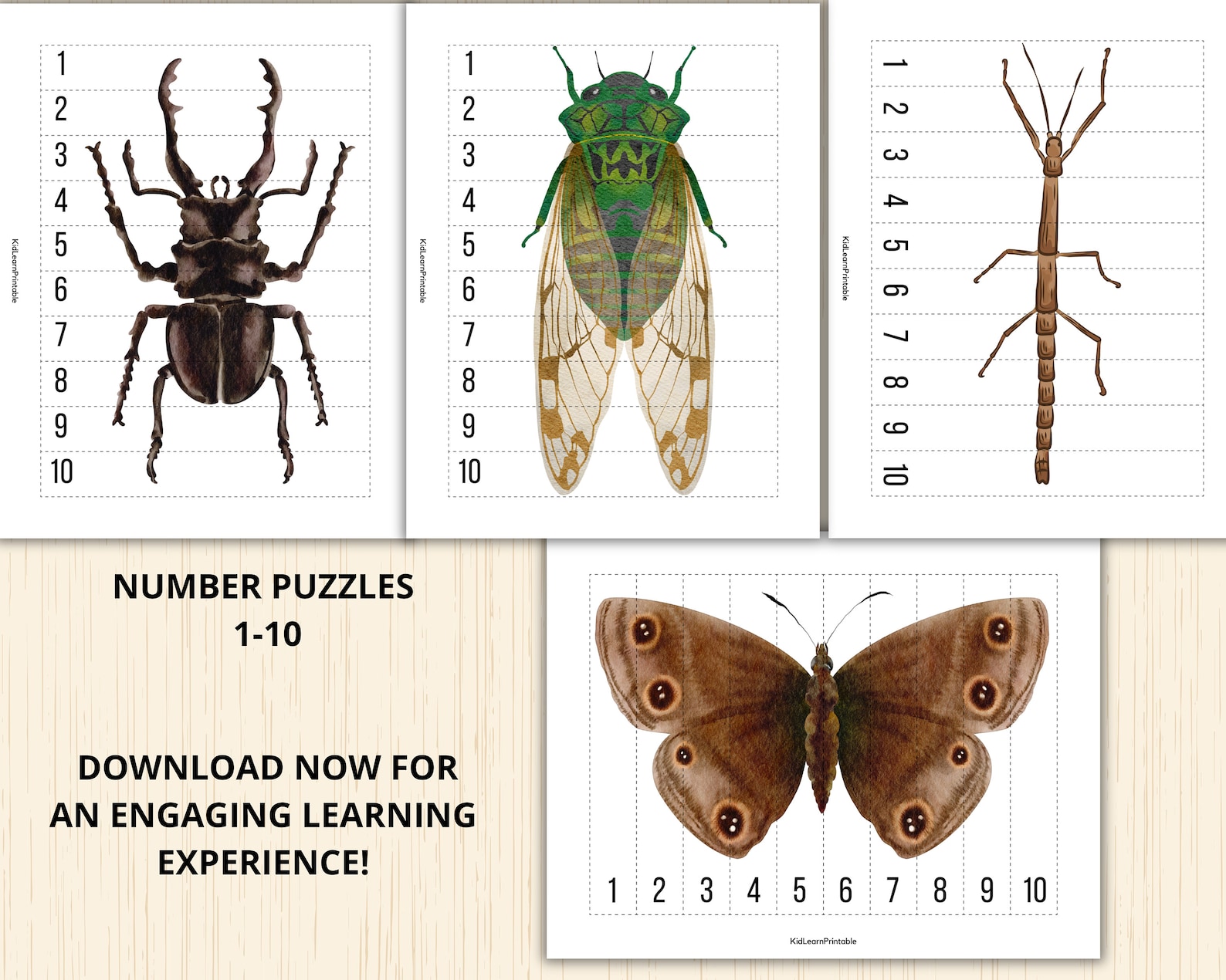 Insect Preschool,insect Number Puzzles,number Sequence,numbers 1-10 ...