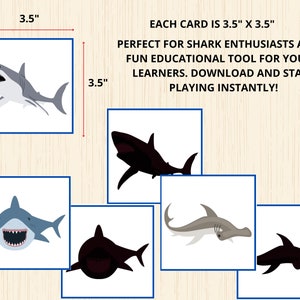 Shark Shadow Matching Game,animals Matching,animal Matching Cards,shark ...