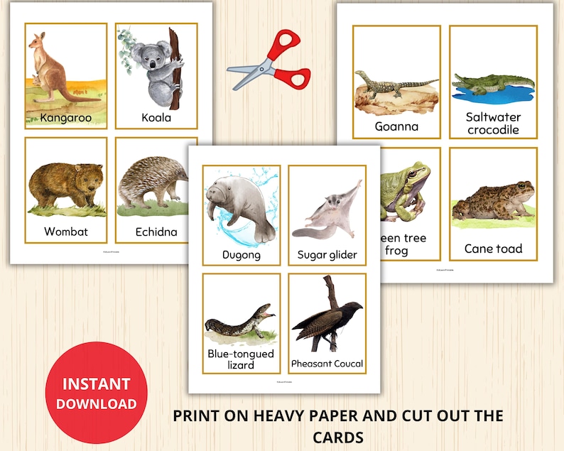 Australian Animal Flashcards,australia Flash Cards,australia Montessori ...