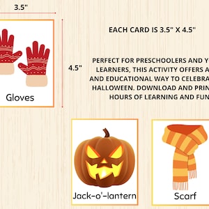 Autumn Flashcard,fall Vocabulary,nature Cards,autumn Montessori,autumn ...