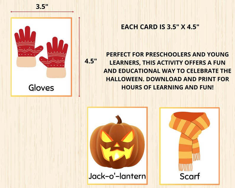 Autumn Flashcard,fall Vocabulary,nature Cards,autumn Montessori,autumn ...