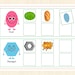 Shapes Sorting Activity,sort by Shape Activity,shape Matching Game ...