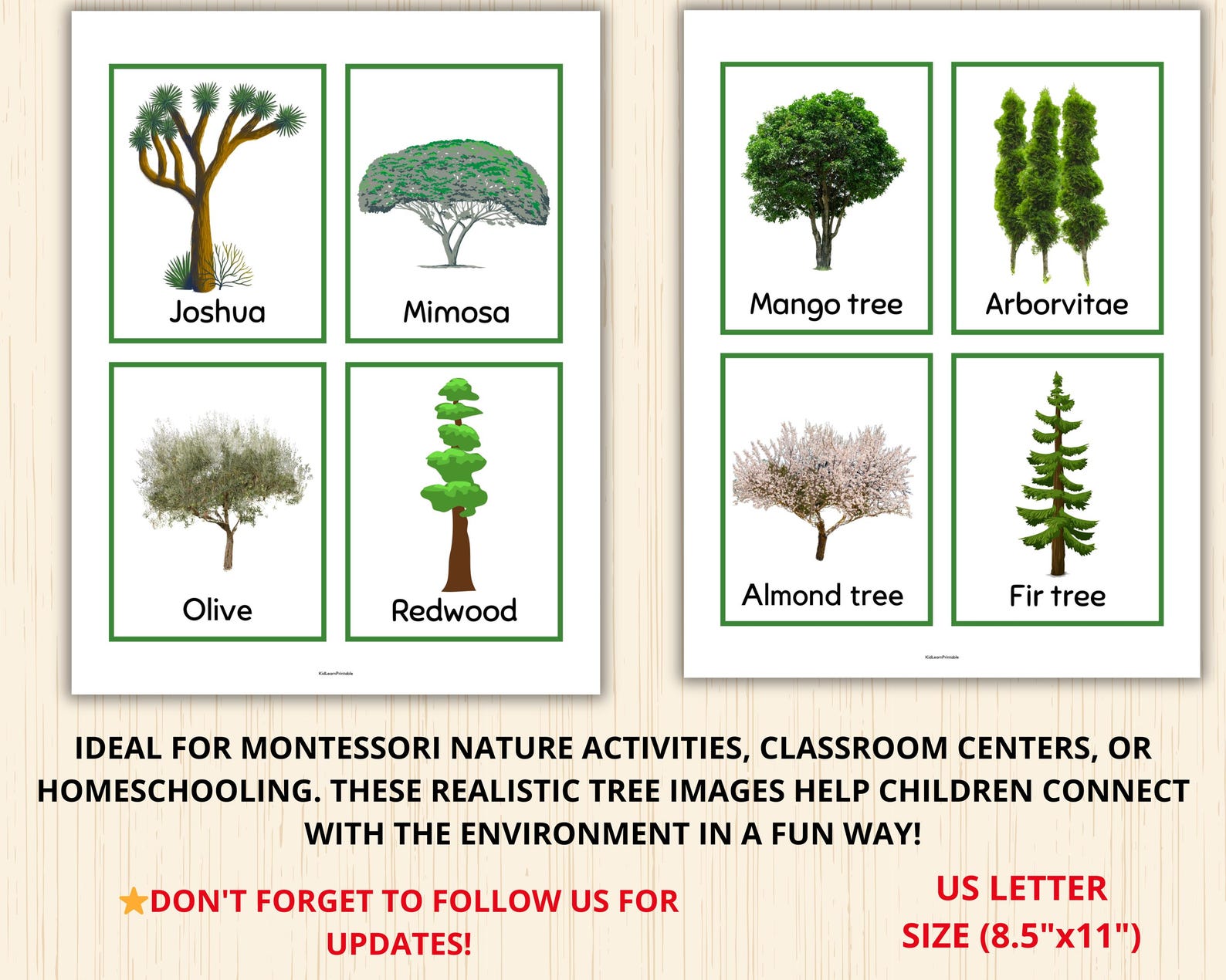 Tree Flashcards,tree Montessori Preschool,tree Unit Study,forest ...