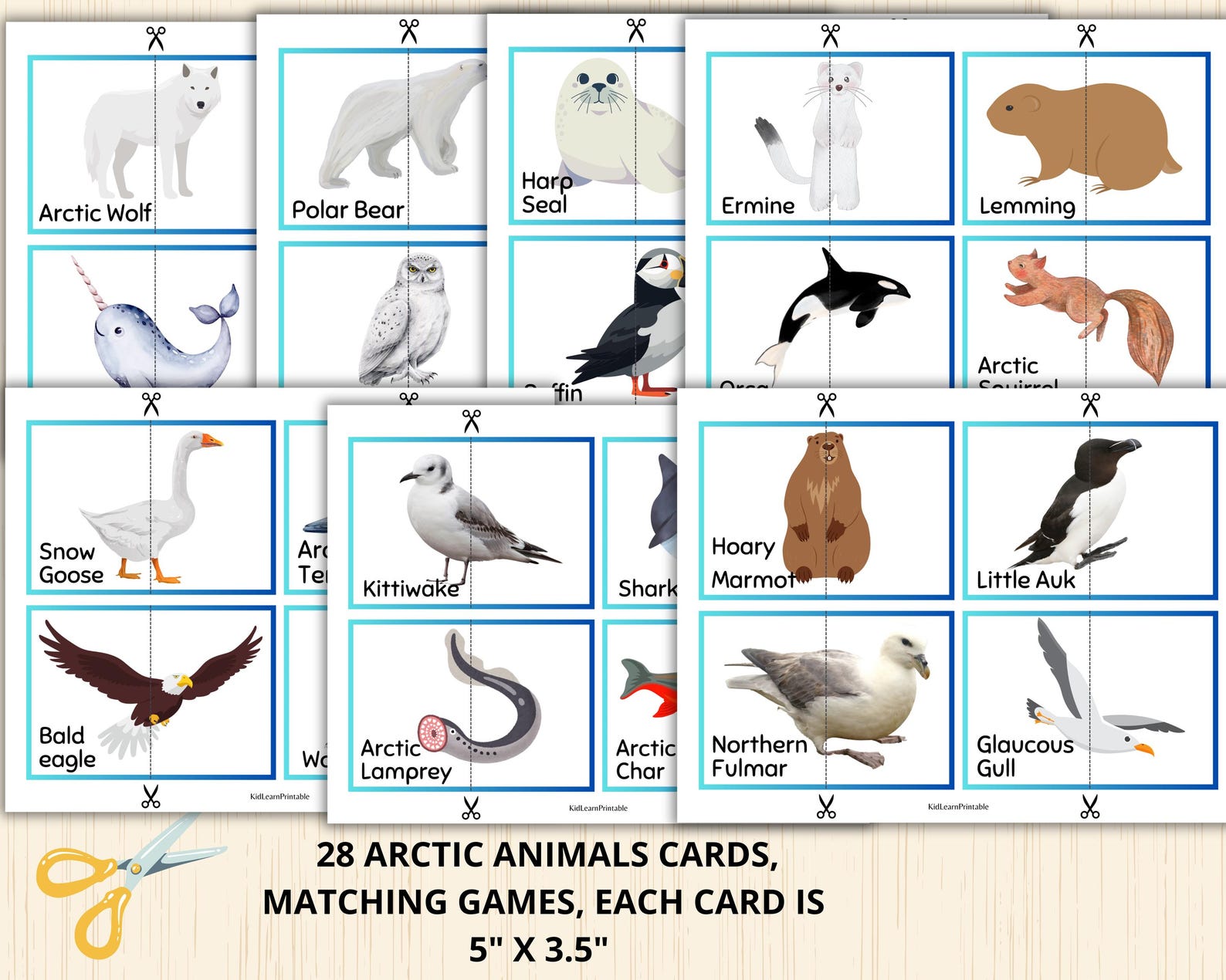 Arctic Animals Bundle,polar Animals Preschool Activity,arctic Animal ...