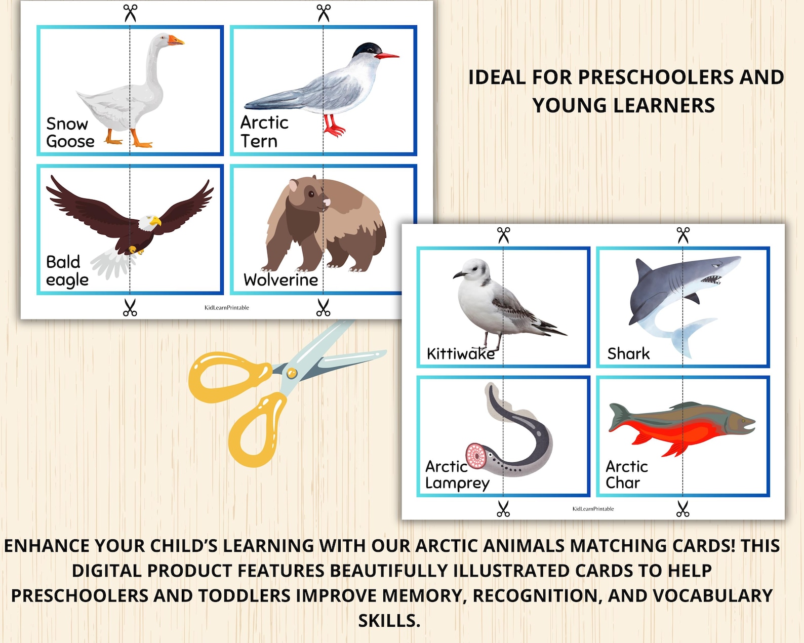 Arctic Animal Matching,arctic Animal Puzzle,winter Animal Montessori ...