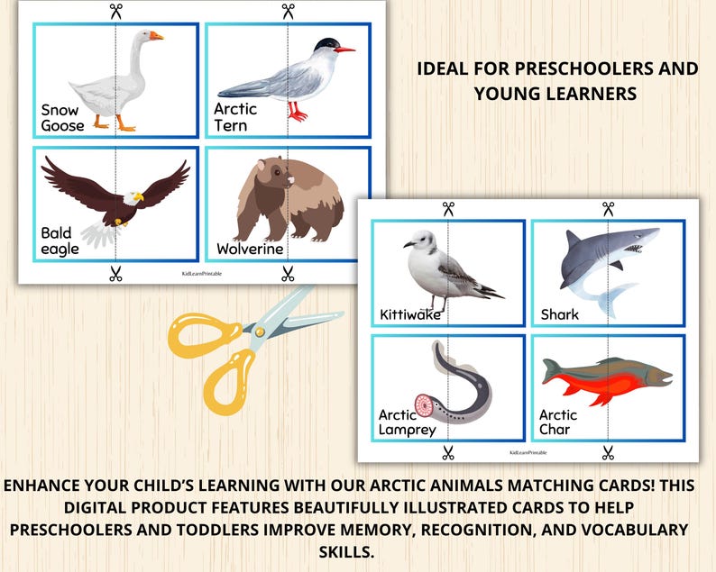 Arctic Animal Matching,arctic Animal Puzzle,winter Animal Montessori ...