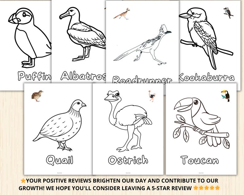 Bird Coloring Pages,bird Coloring Sheets,bird Preschool Activity,bird ...