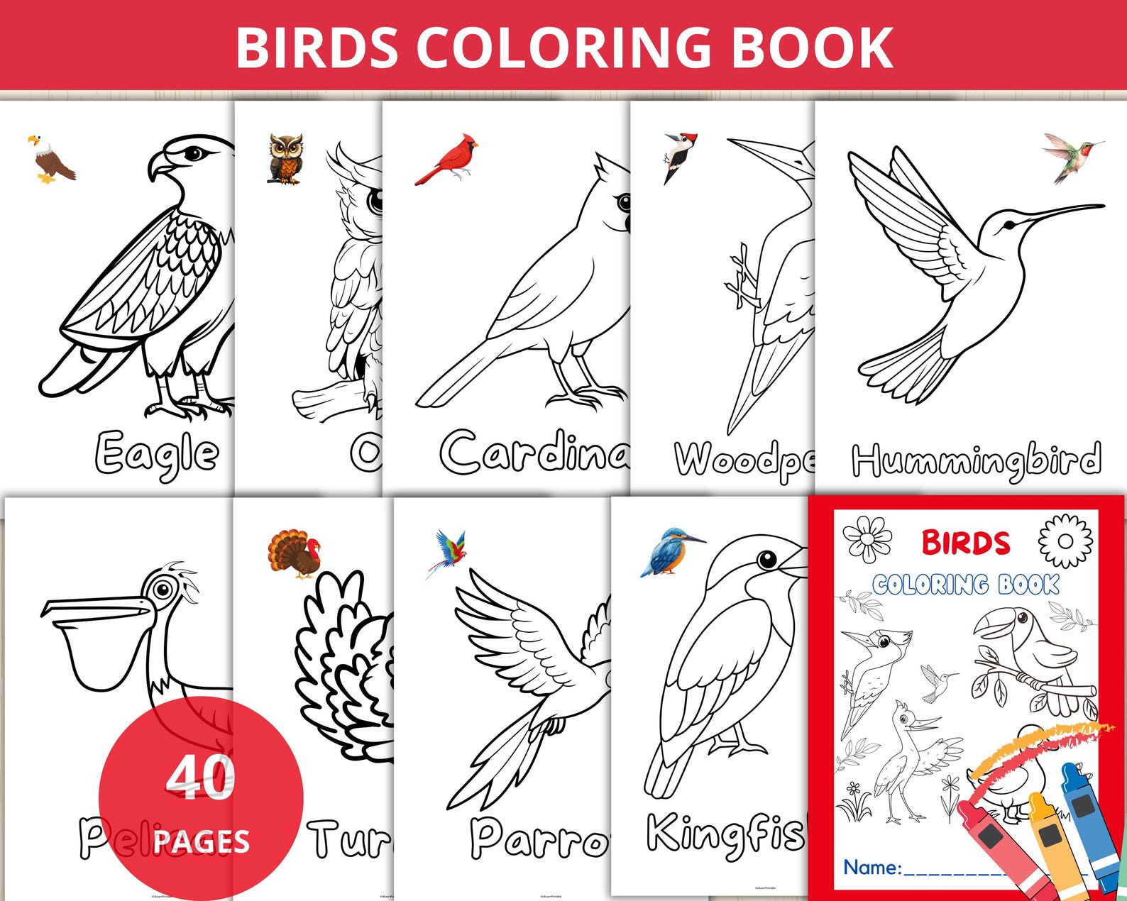Bird Coloring Pages,bird Coloring Sheets,bird Preschool Activity,bird ...