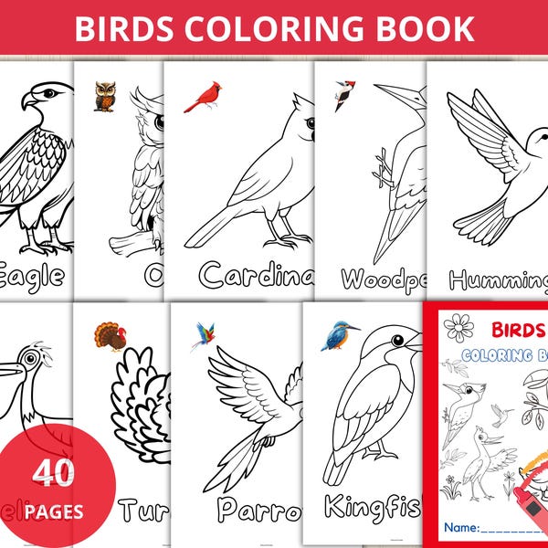 Birds Coloring Book - Etsy