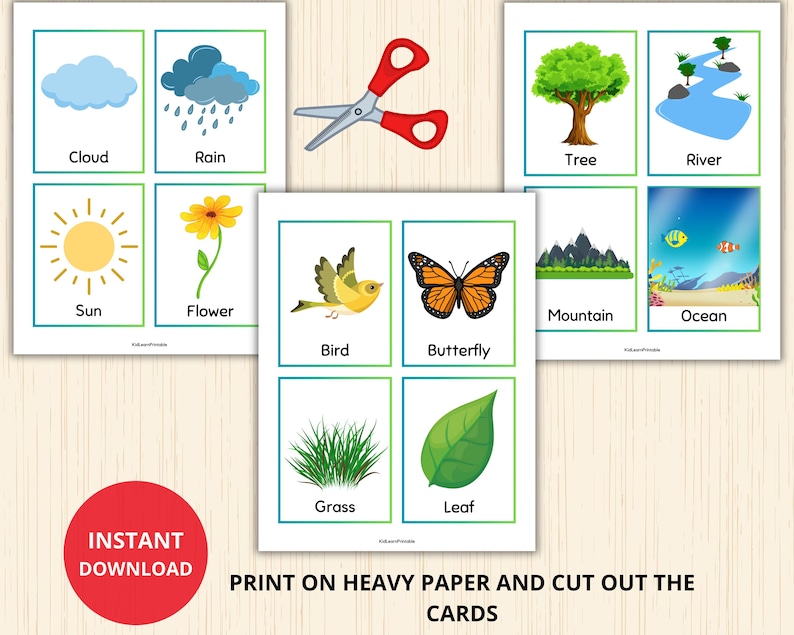 Nature Flashcards,nature Vocabulary,spring Flashcard,nature ...