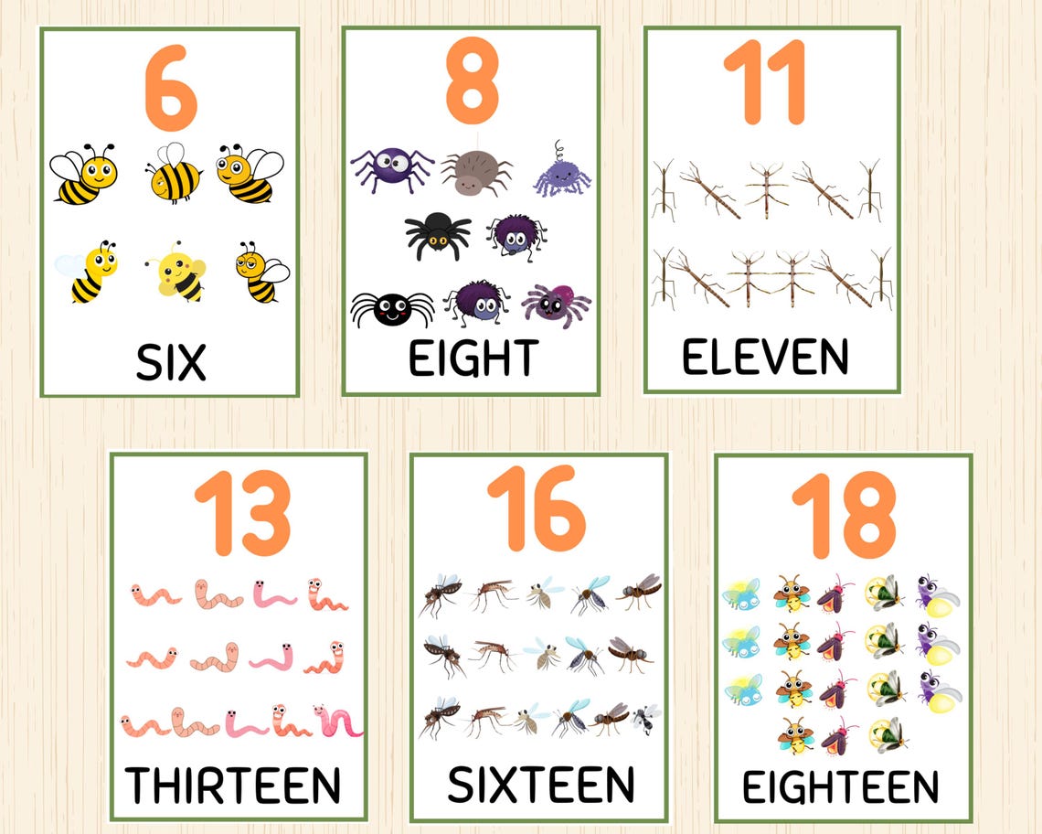 Bugs Number Flashcard,minibeast Number Cards,insect Preschool,nature ...