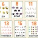 Bugs Number Flashcard,minibeast Number Cards,insect Preschool,nature ...