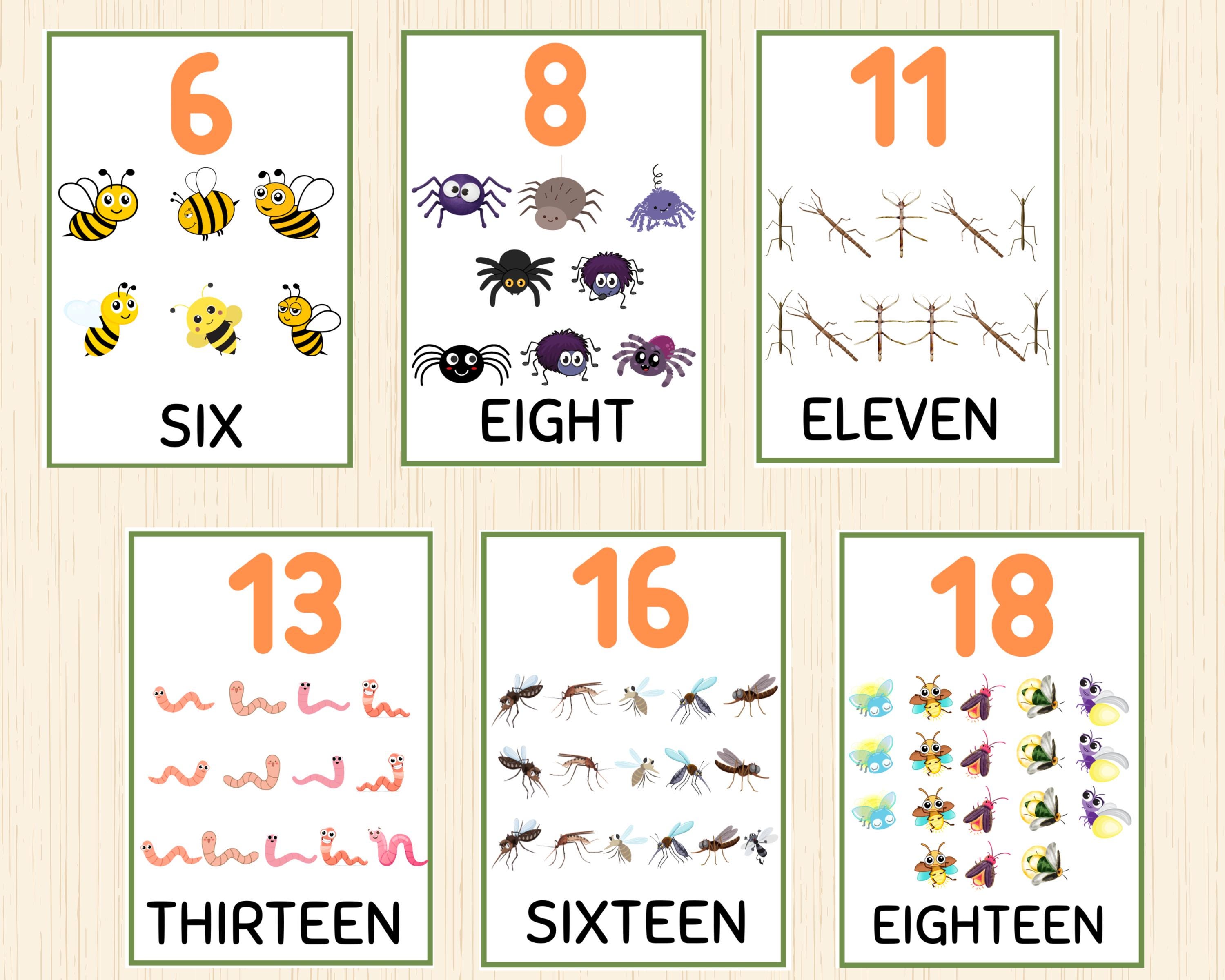 Bugs Number Flashcard,minibeast Number Cards,insect Preschool,nature ...