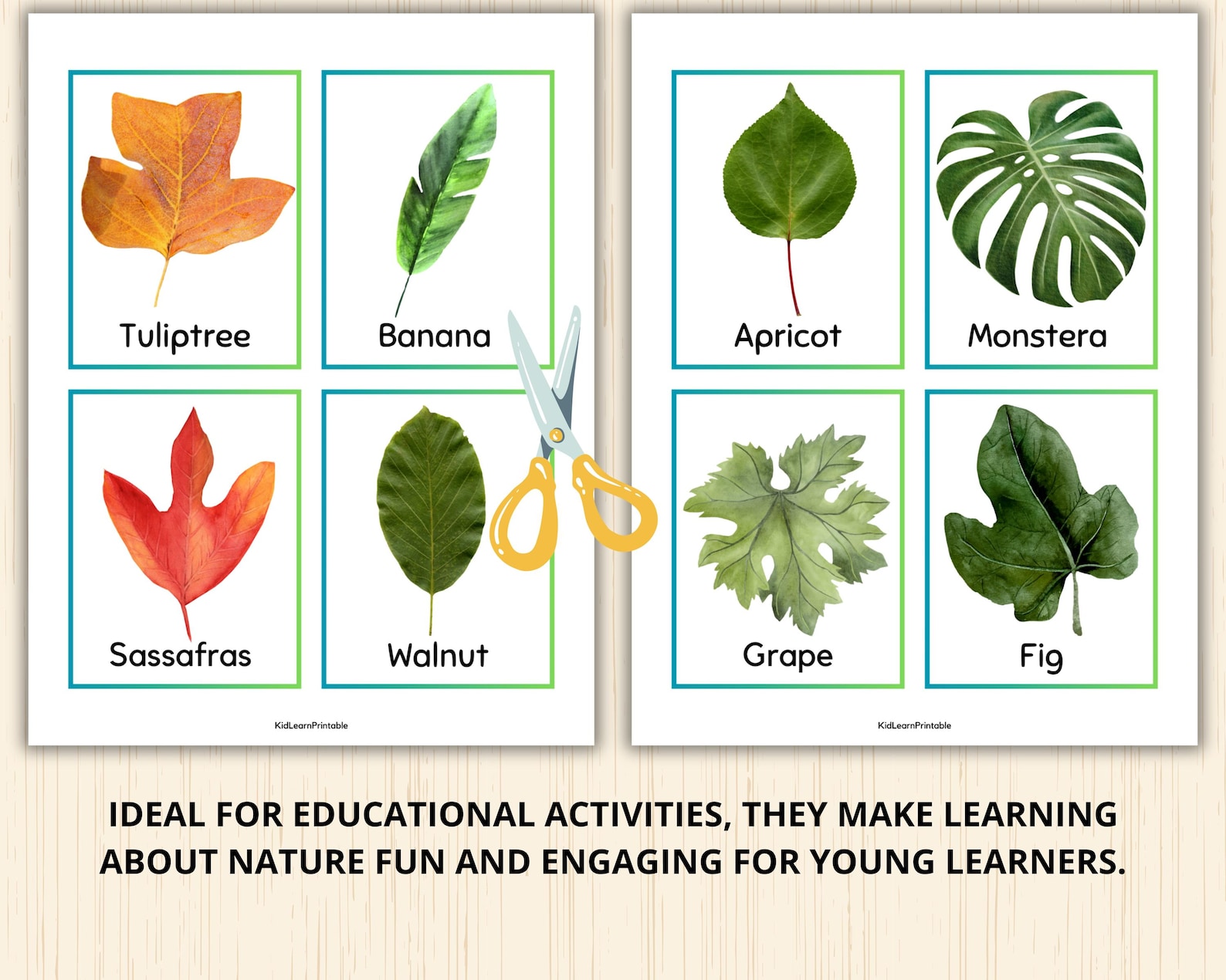 Autumn Leaves Flashcards,fall Montessori,homeschooling,leaf ...